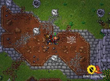Arquivo:MWC Spider Nest01.jpg - Tibia Wiki - A Enciclopédia do Tibia