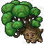 Your Magical Tree (Druid) - Tibia Wiki - A Enciclopédia do Tibia