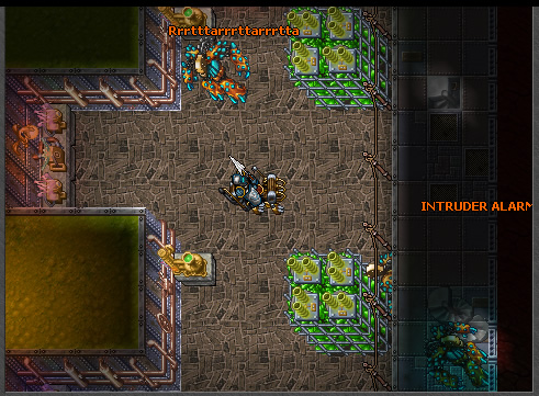 Arquivo:Winter201015.jpg - Tibia Wiki - A Enciclopédia do Tibia