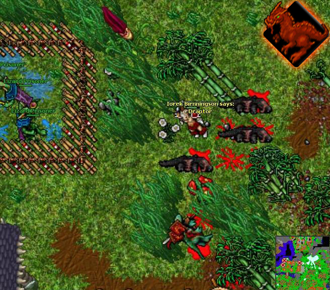 Arquivo:Draptor1.jpg - Tibia Wiki - A Enciclopédia do Tibia