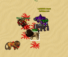 Zomba - Tibia Wiki - A Enciclopédia do Tibia