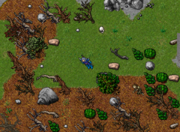 Demodras - Tibia Wiki - A Enciclopédia do Tibia