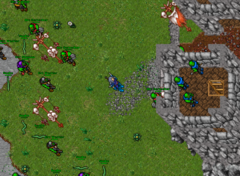 Orc Fortress Quest - Tibia Wiki - A Enciclopédia do Tibia