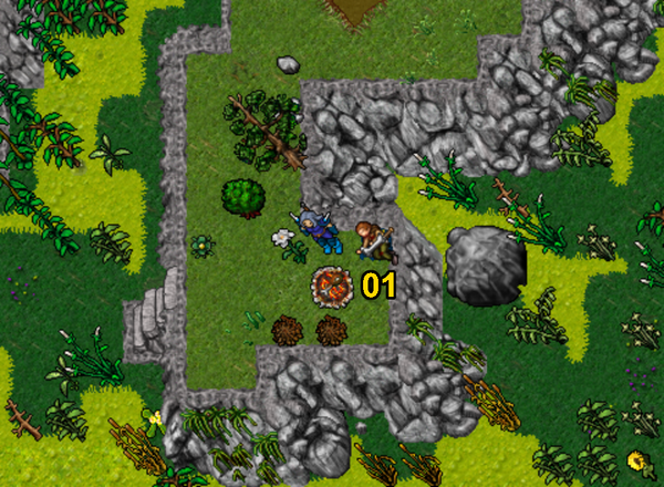 Bibliotecas de Green Claw Swamp - Tibia Wiki - A Enciclopédia do Tibia