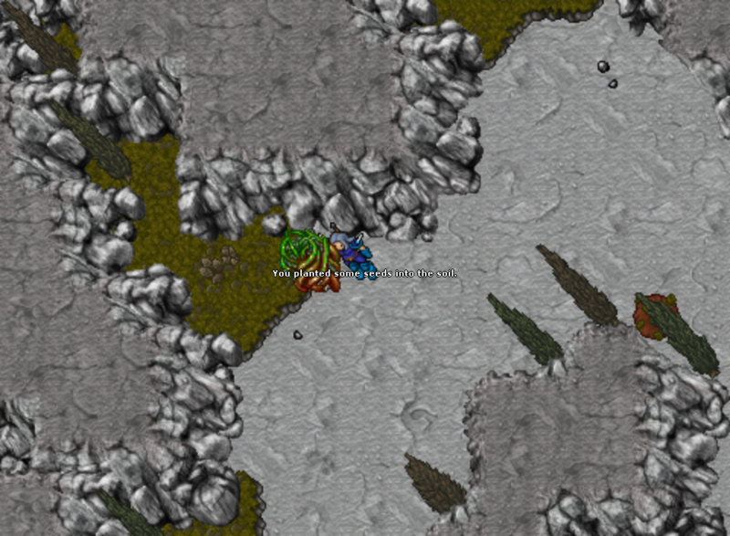 Arquivo:Forgotten Knowledge Earth Portal 1-7.png - Tibia Wiki - A ...
