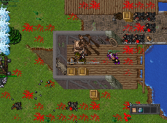 The Order of the Lion Quest - Tibia Wiki - A Enciclopédia do Tibia