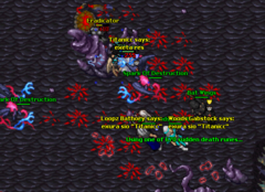 Heart of Destruction Quest - Tibia Wiki - A Enciclopédia do Tibia