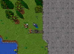 Sam's Old Backpack Quest - Tibia Wiki - A Enciclopédia do Tibia