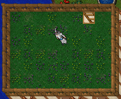 Fibula Village, Villa - Tibia Wiki - A Enciclopédia do Tibia