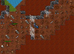 Sam's Old Backpack Quest - Tibia Wiki