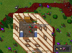 Amazon Armor - Tibia Wiki - A Enciclopédia do Tibia