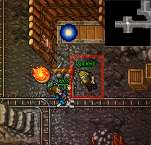 The Hidden City of Beregar Quest - Tibia Wiki