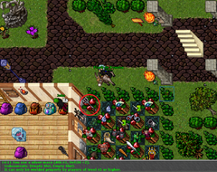 Silver Mace - Tibia Wiki - A Enciclopédia do Tibia
