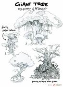 Ab'Dendriel - Tibia Wiki - A Enciclopédia do Tibia