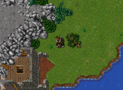 The Order of the Lion Quest - Tibia Wiki - A Enciclopédia do Tibia